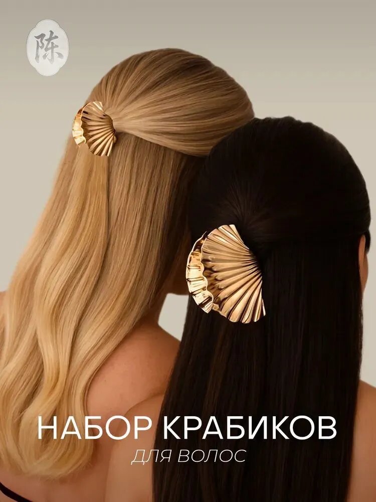 Заколка для волос 2 шт.