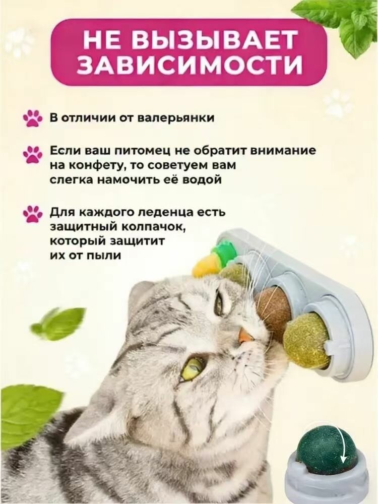 Набор игрушек для кошек. Шарики с кошачьей мятой, с мататаби и леденец, для котов и котят кошачья мята игрушки мататаби для кошек леденцы для котов