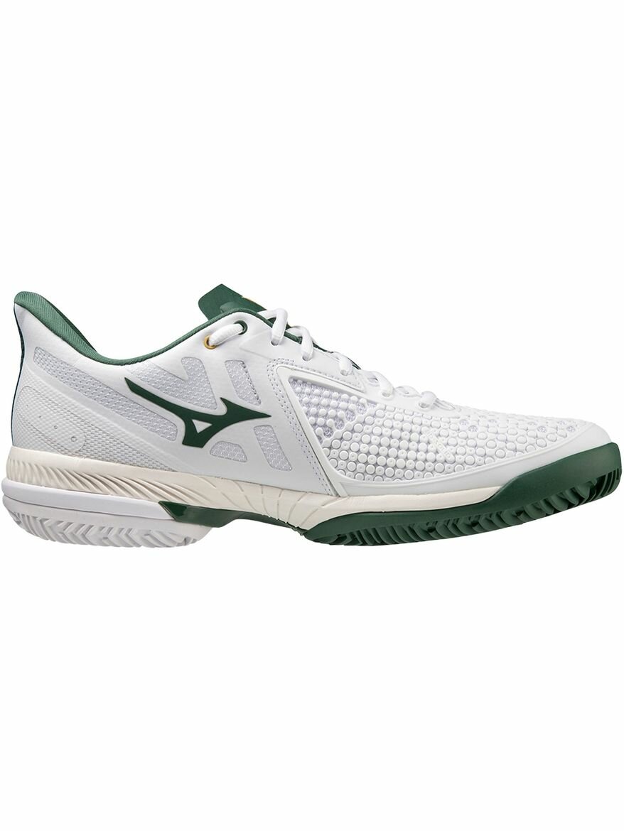 Кроссовки Wave Exceed Tour 5 Clay Court