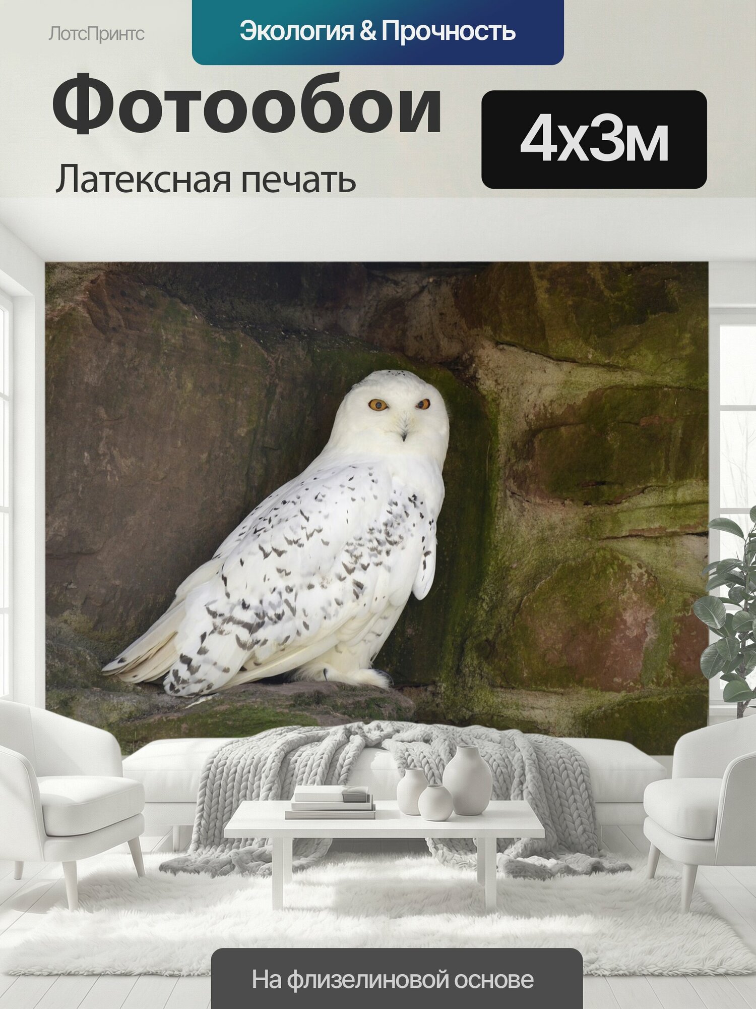 Фотообои моющиеся ударопрочные "Снежная сова, сова, белый" 400x300 см. латексная печать