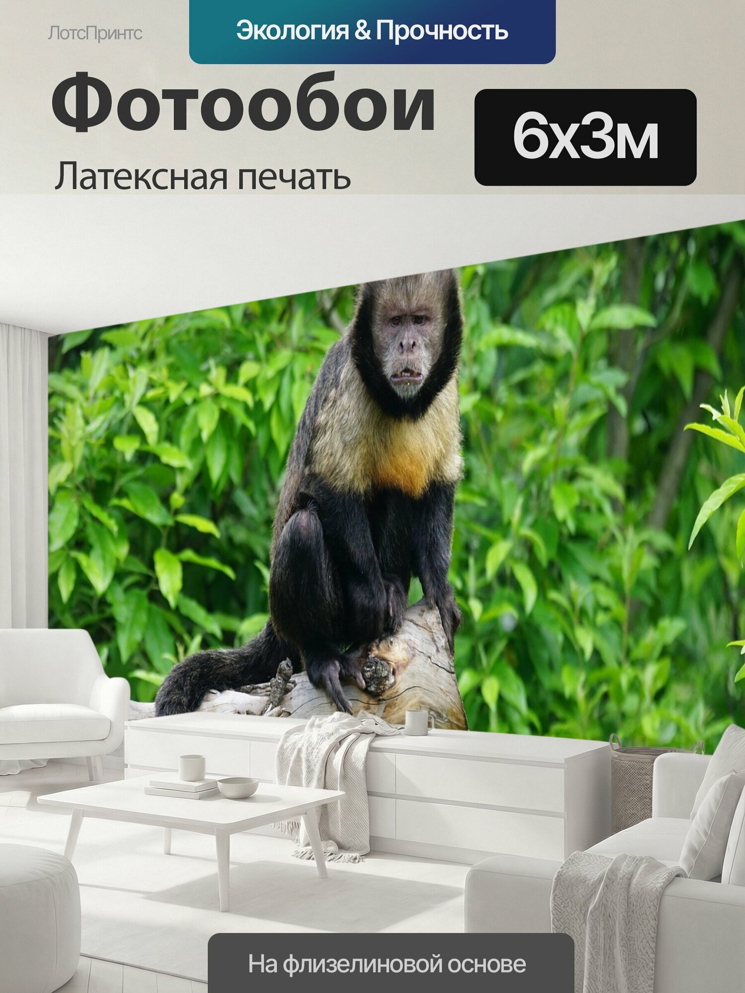Фотообои моющиеся ударопрочные "Желтогрудый капуцин, обезьяна, примат" 600x300 см. латексная печать