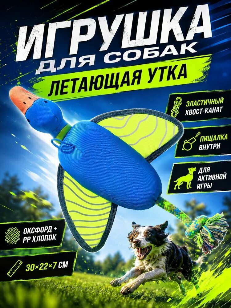 Игрушка-стрекоза для собак, интерактивная летающая игрушка с пищалкой, для активных игр, апорта и прогулок, 30227 см