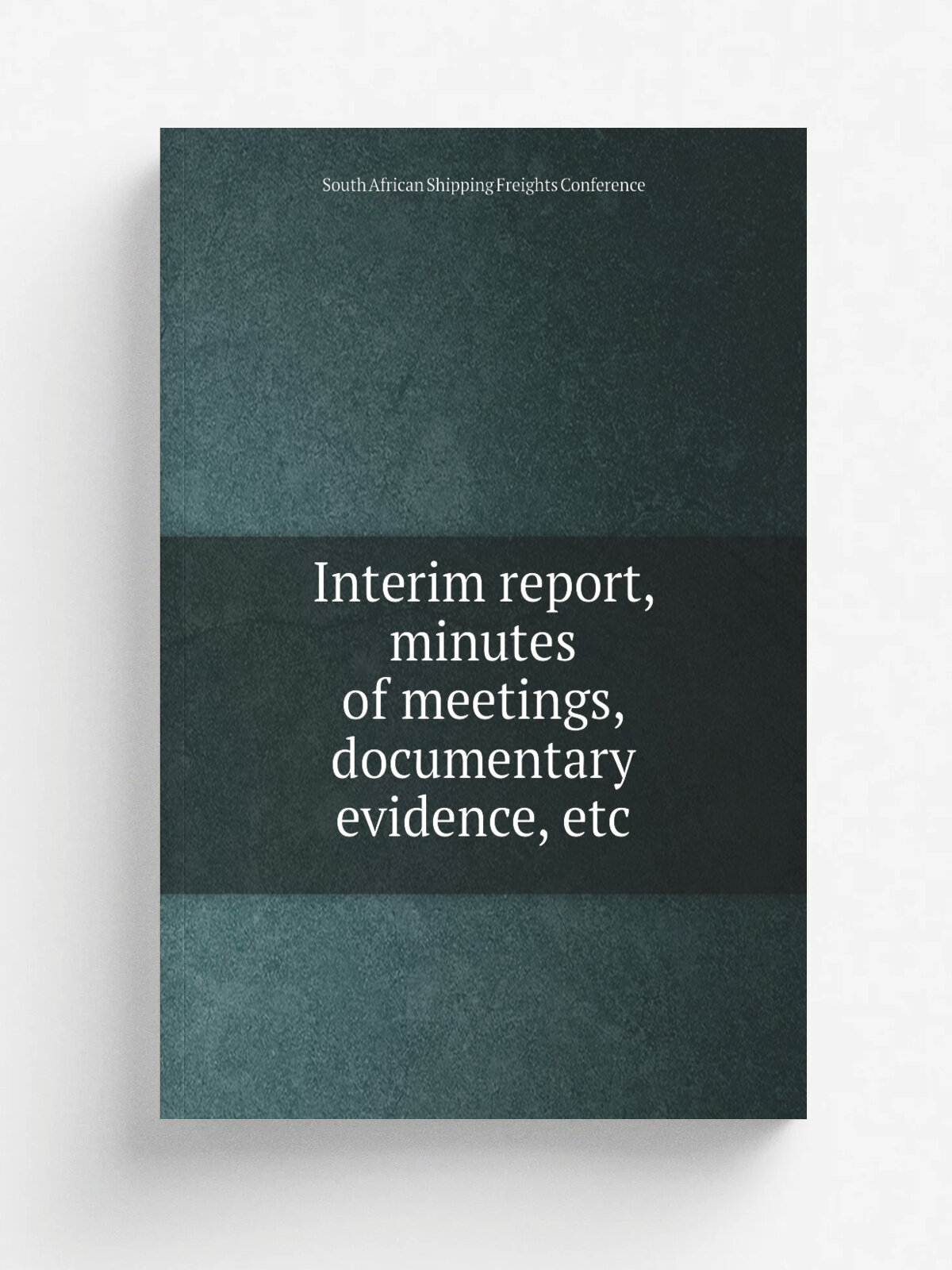 Interim report, minutes of meetings, documentary evidence, etc