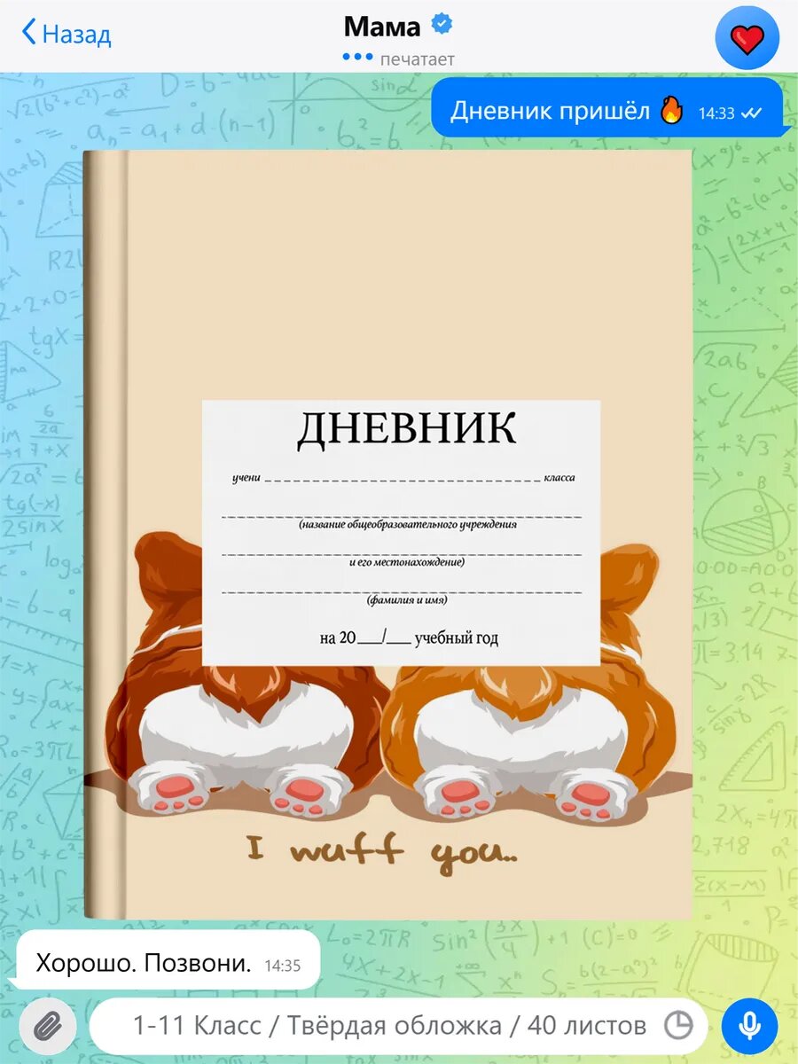 Школьный дневник с принтом Роблокс