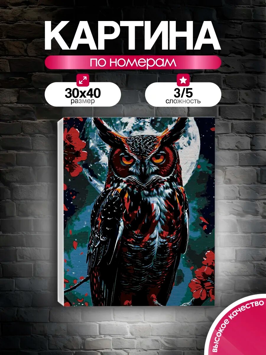 Картина по номерам 30x40 Филин и луна
