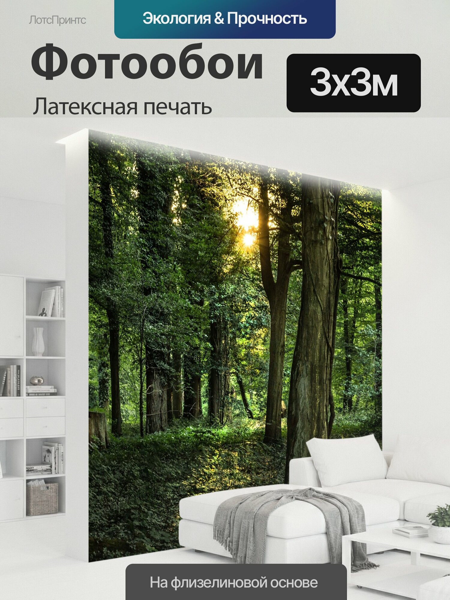 Фотообои моющиеся ударопрочные "Лес, деревья, большое количество естественного света" 300x300 см. латексная печать