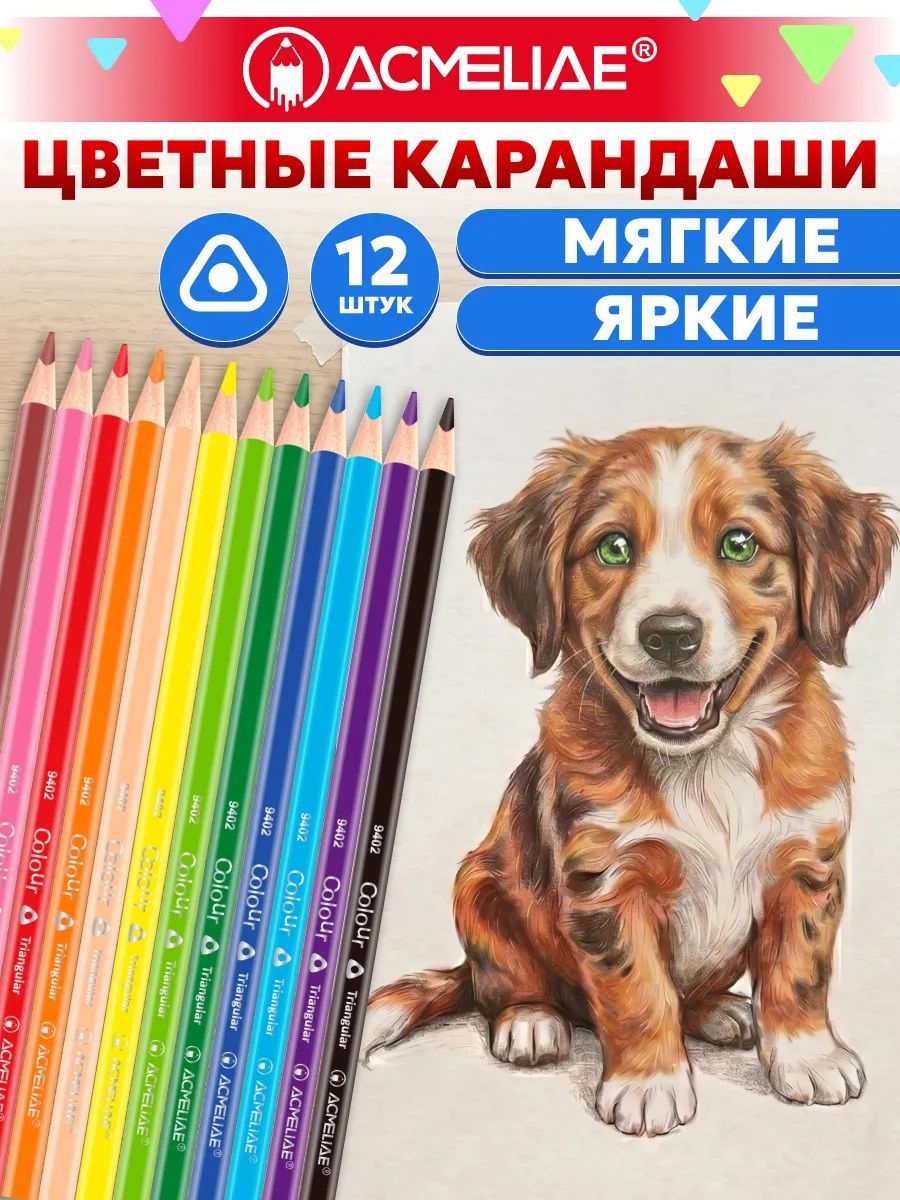 Карандаши цветные ACMELIAE 12 цветов, трехгранные, для рисования, детские, в школу, картонная коробка