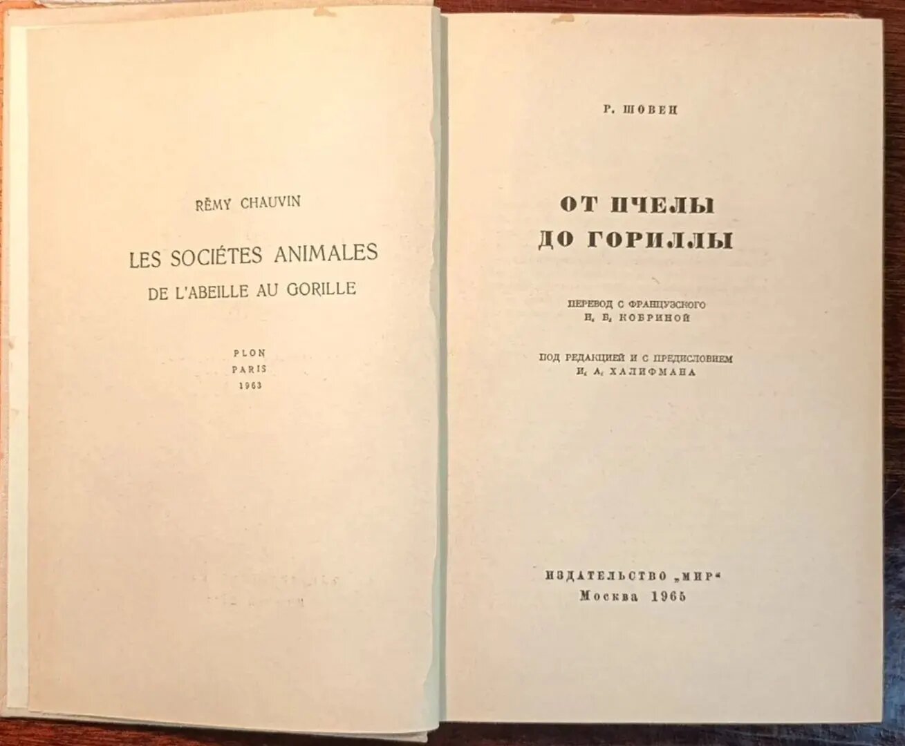 От пчелы до гориллы — фото 1