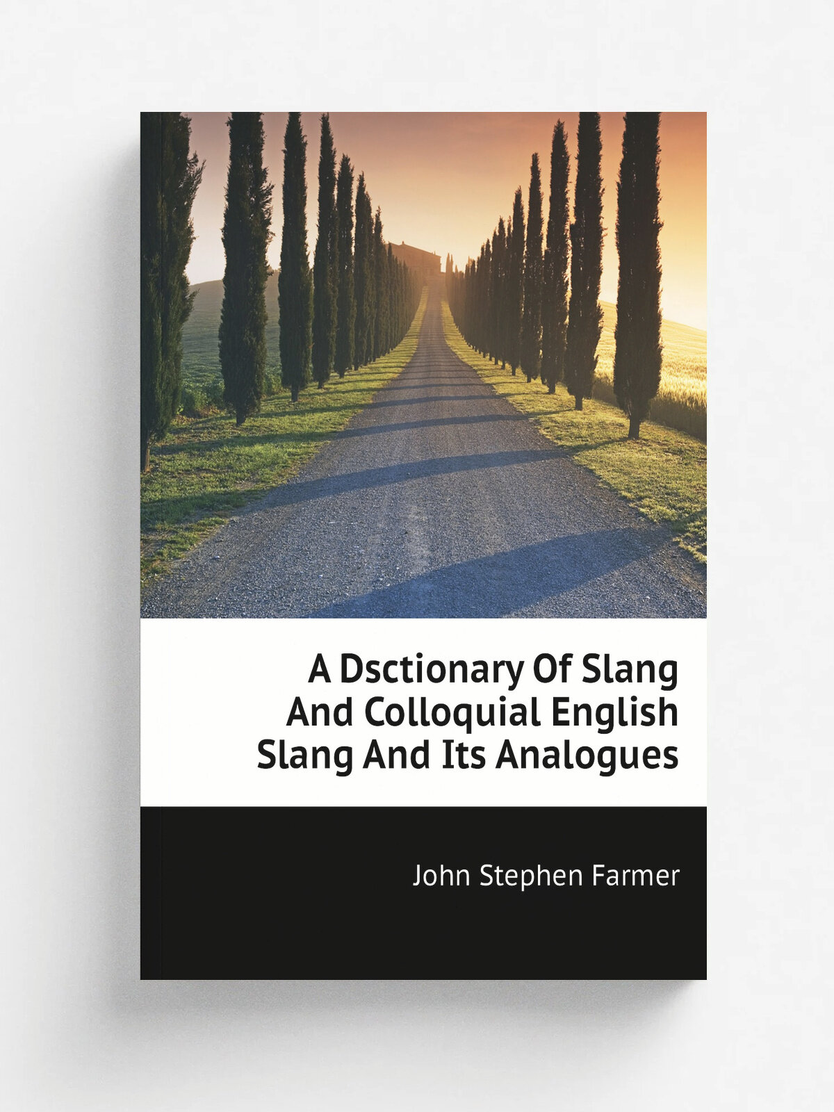 A Dsctionary Of Slang And Colloquial English Slang And Its Analogues
