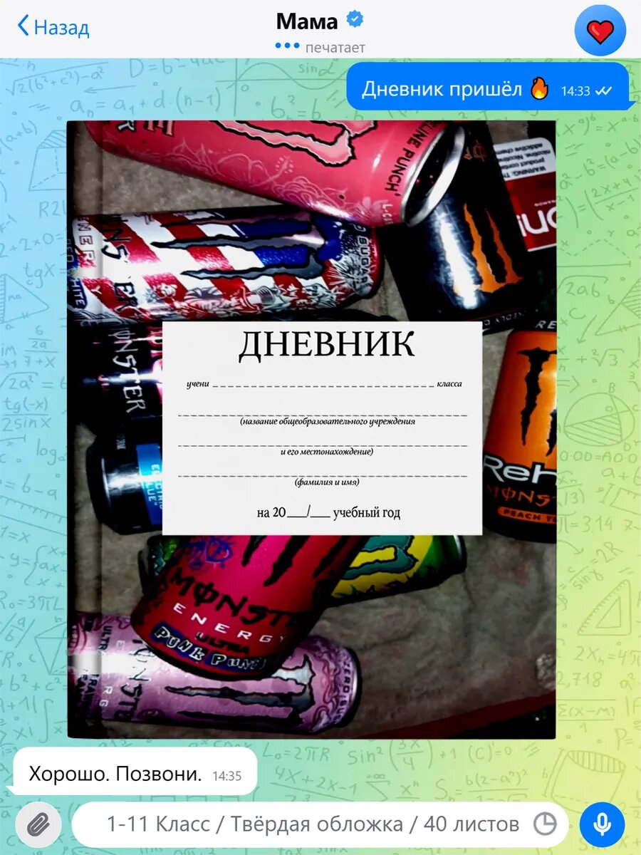 Школьный дневник с принтом Роблокс