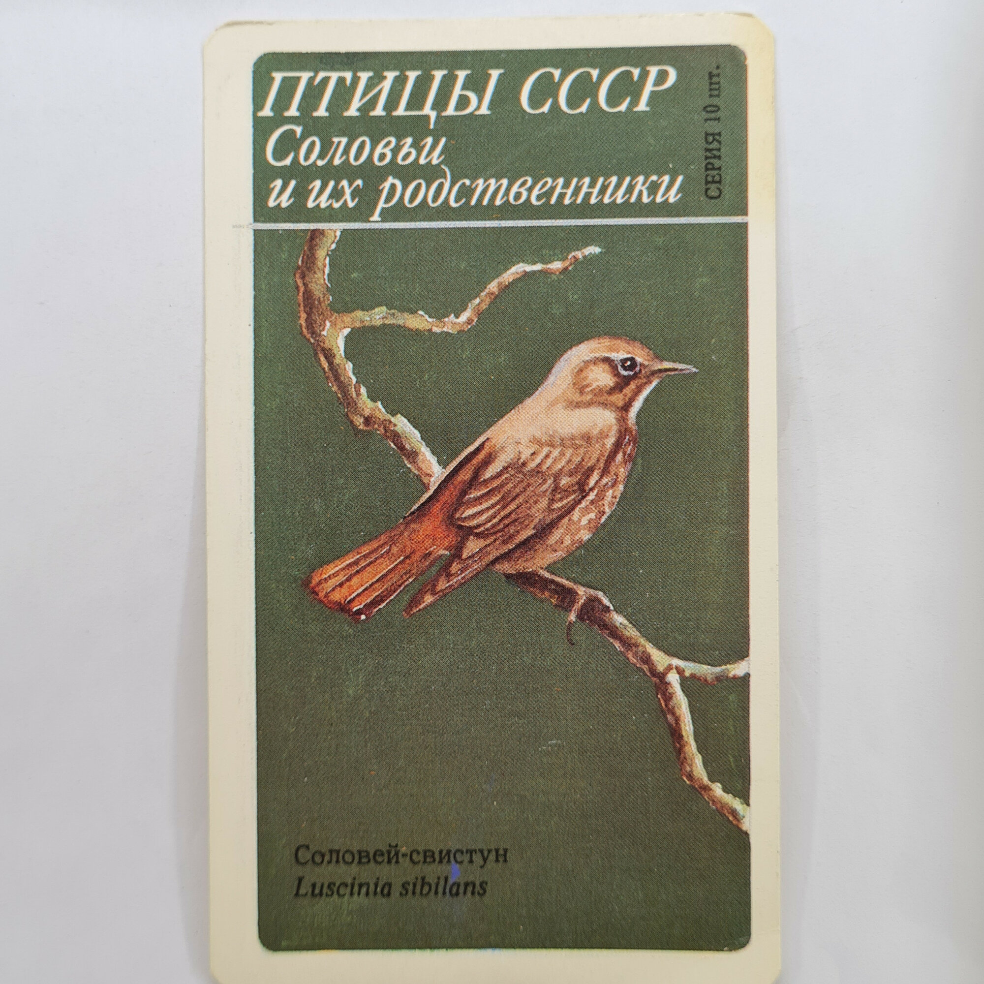 Карманный календарик 1991. Соловьи и их родственники, птицы СССР. Календарь винтажный