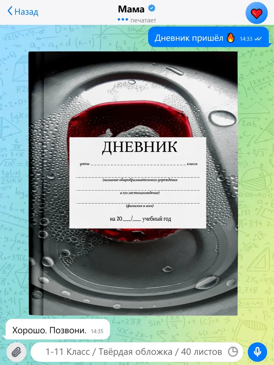 Школьный дневник с принтом Роблокс