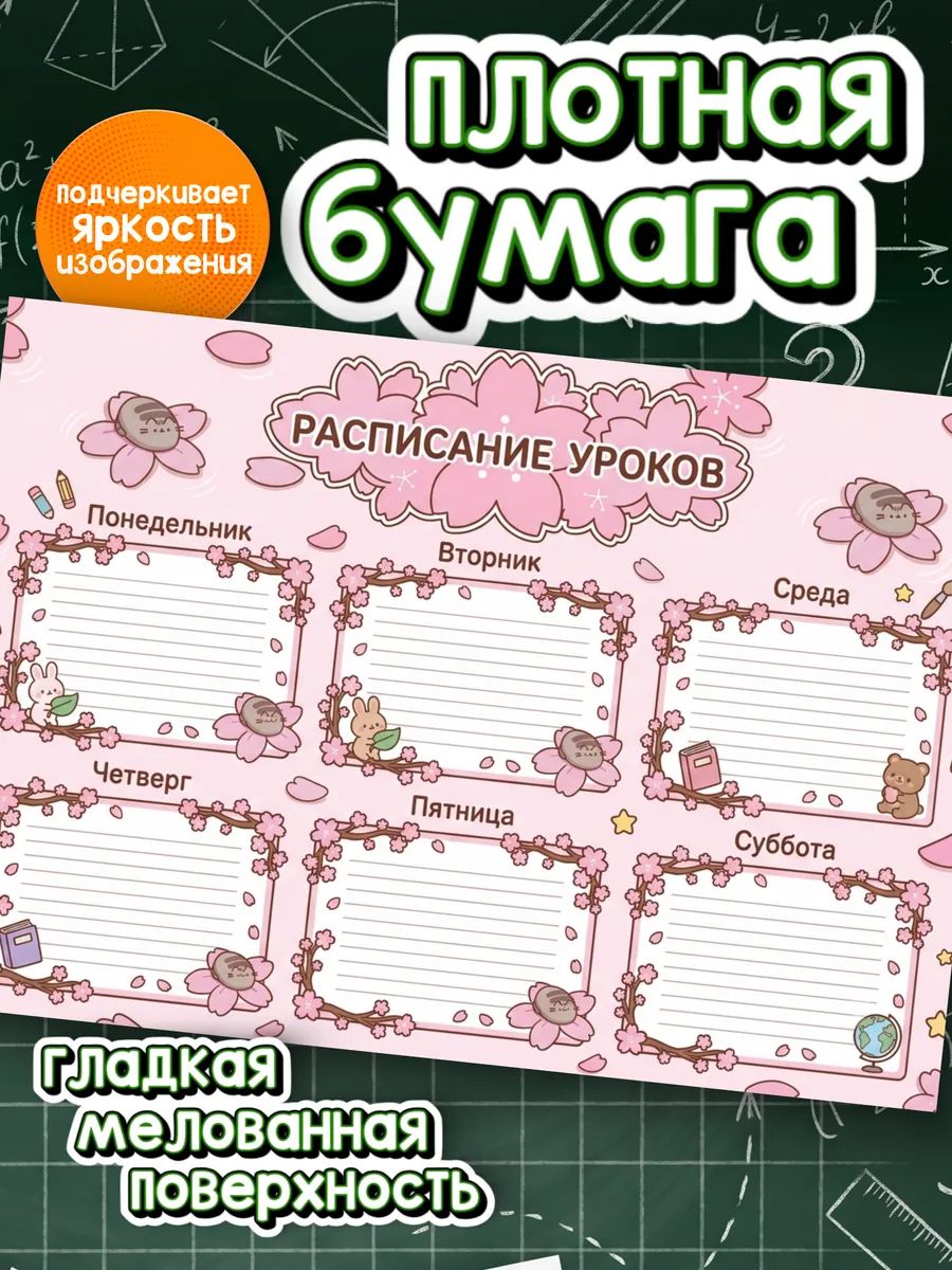 Расписание уроков Pushin — фото 1