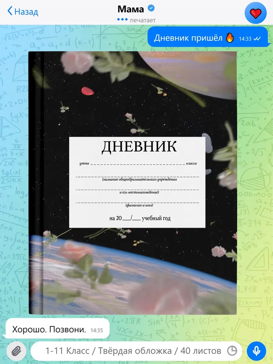 Школьный дневник с принтом Роблокс