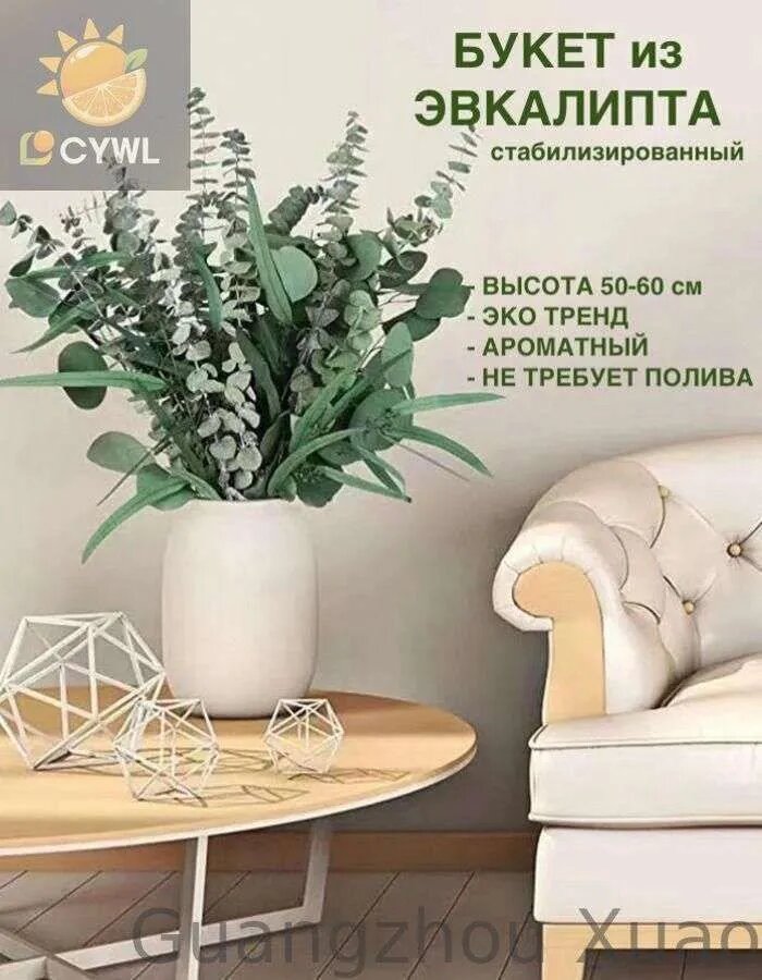 Сухоцветы Эвкалипт 50 см 300 гр 1 шт для интерьера для декора для дома для офиса