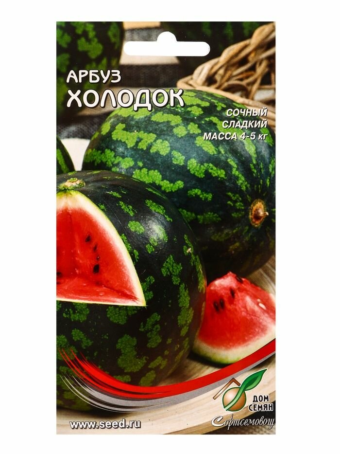 Набор семян Арбуз Холодок , 10 семян