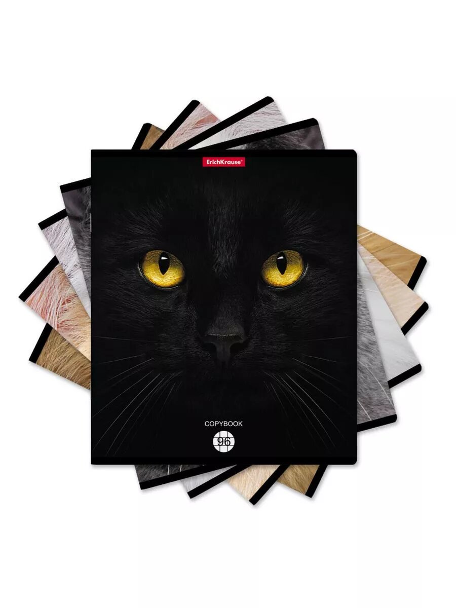 Тетрадь общая Cats, 96 л, клетка, 5 шт.