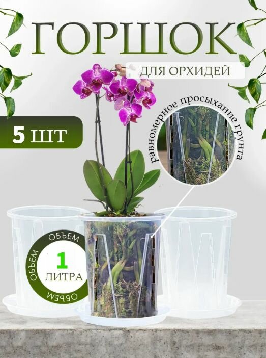 Кашпо с автополивом 1 л, 14 см, 5 шт, цвет прозрачный