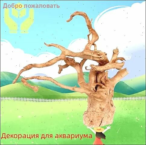 Коряга для аквариума натуральная/Коряга натуральная Сакура/Декорация для аквариума и террариума.