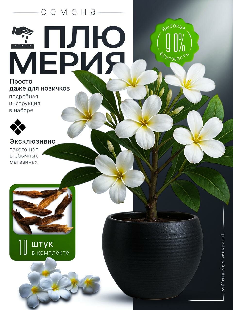 Семена Плюмерия Франжипани 10 шт. многолетнее тропическая Про Растения