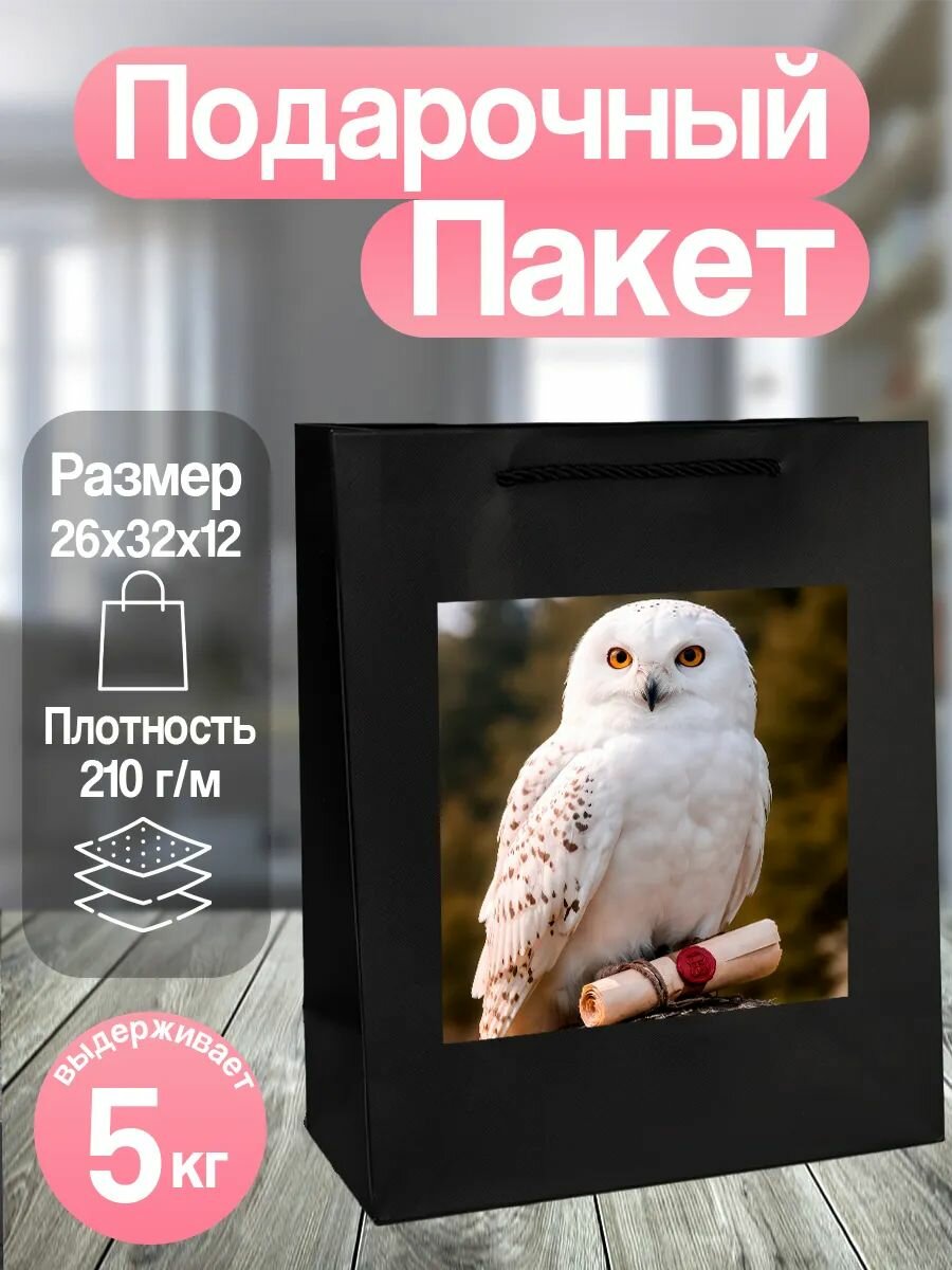 Пакет подарочный Гарри Потер