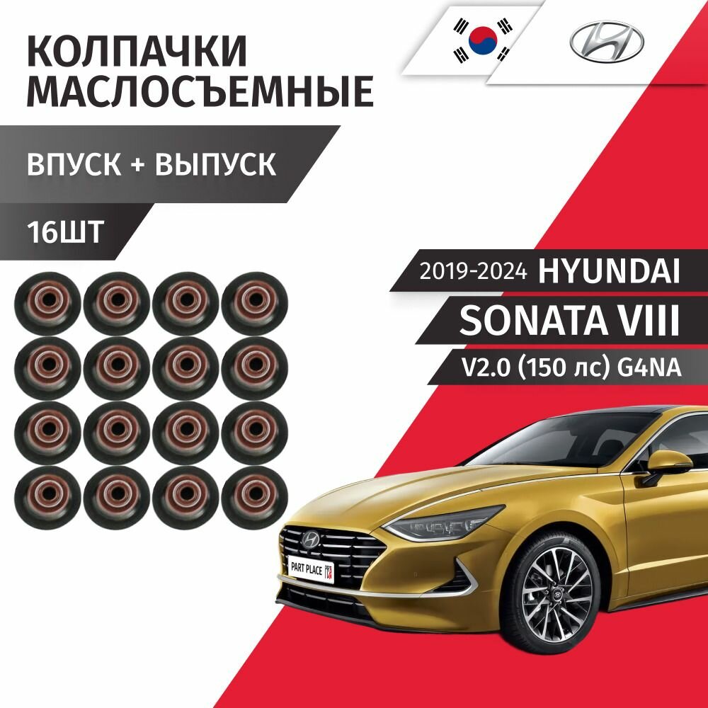 Колпачки маслосъемные Hyundai Sonata (8) DN8 V2.0 150лс G4NA 2019 - 2024, Комплект 16 шт HYUNDAI