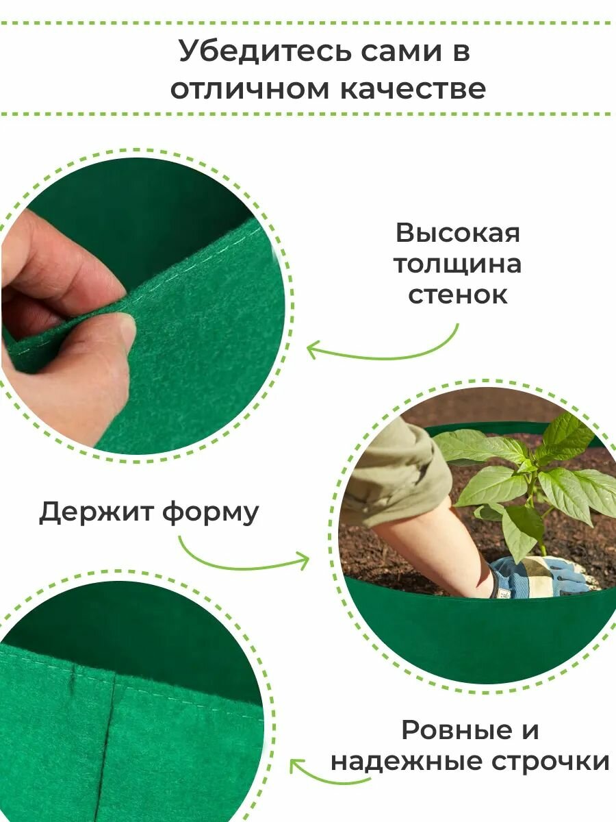 Клумба — фото 1