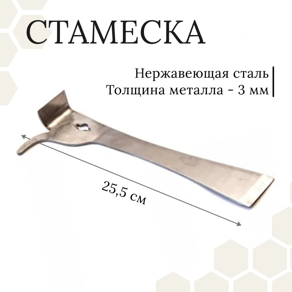 Стамеска пасечная