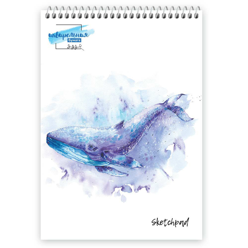 Альбом для рисования Аква-Колор Изостудия, A4, акварельная бумага, скетч-дизайн, спираль, 20 л