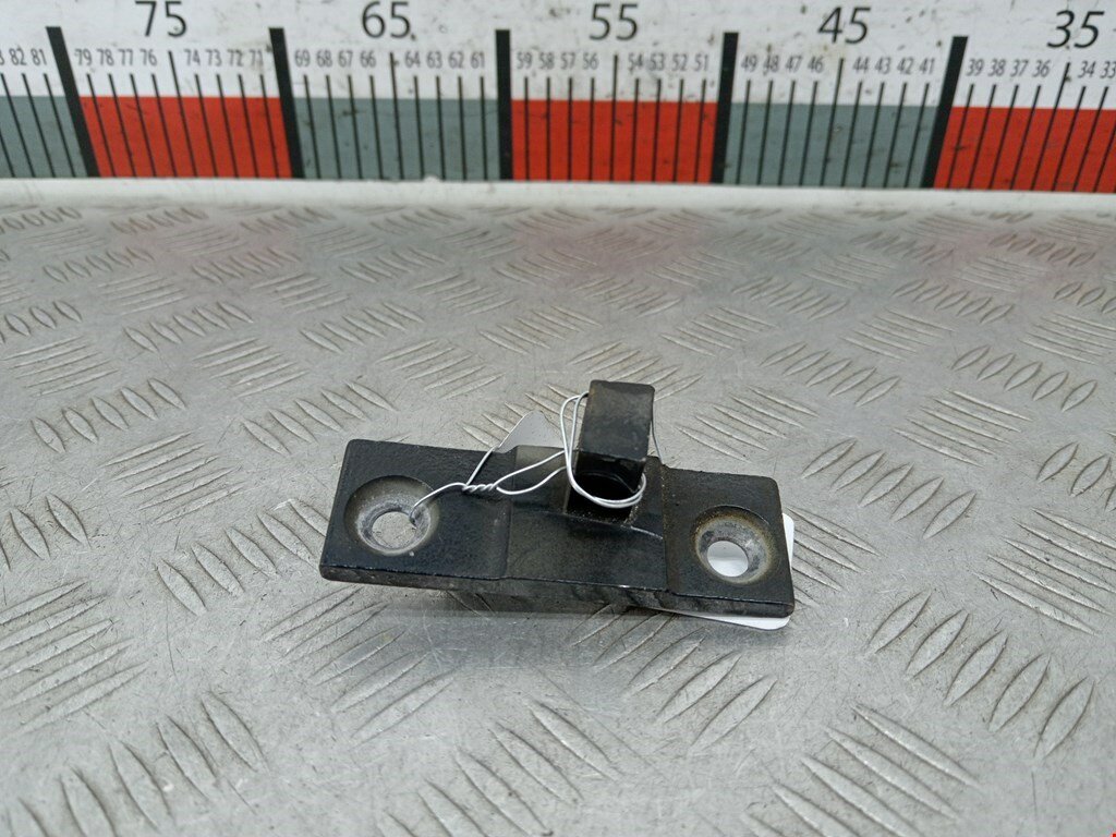 Петля двери передней правой BMW X5 (E70) арт. 2274759