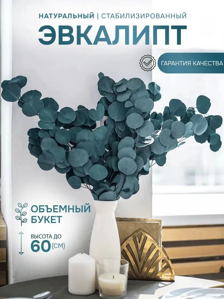 Сухоцветы Эвкалипт, 59 см, 270 гр, 1 шт