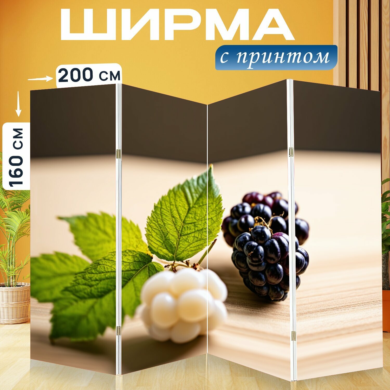 Ширма "Белые ежевики с зелеными листьями на деревянной поверхности, realistic, photography style, detailed." перегородка для зонирования комнаты с принтом 200x160 см. на холсте