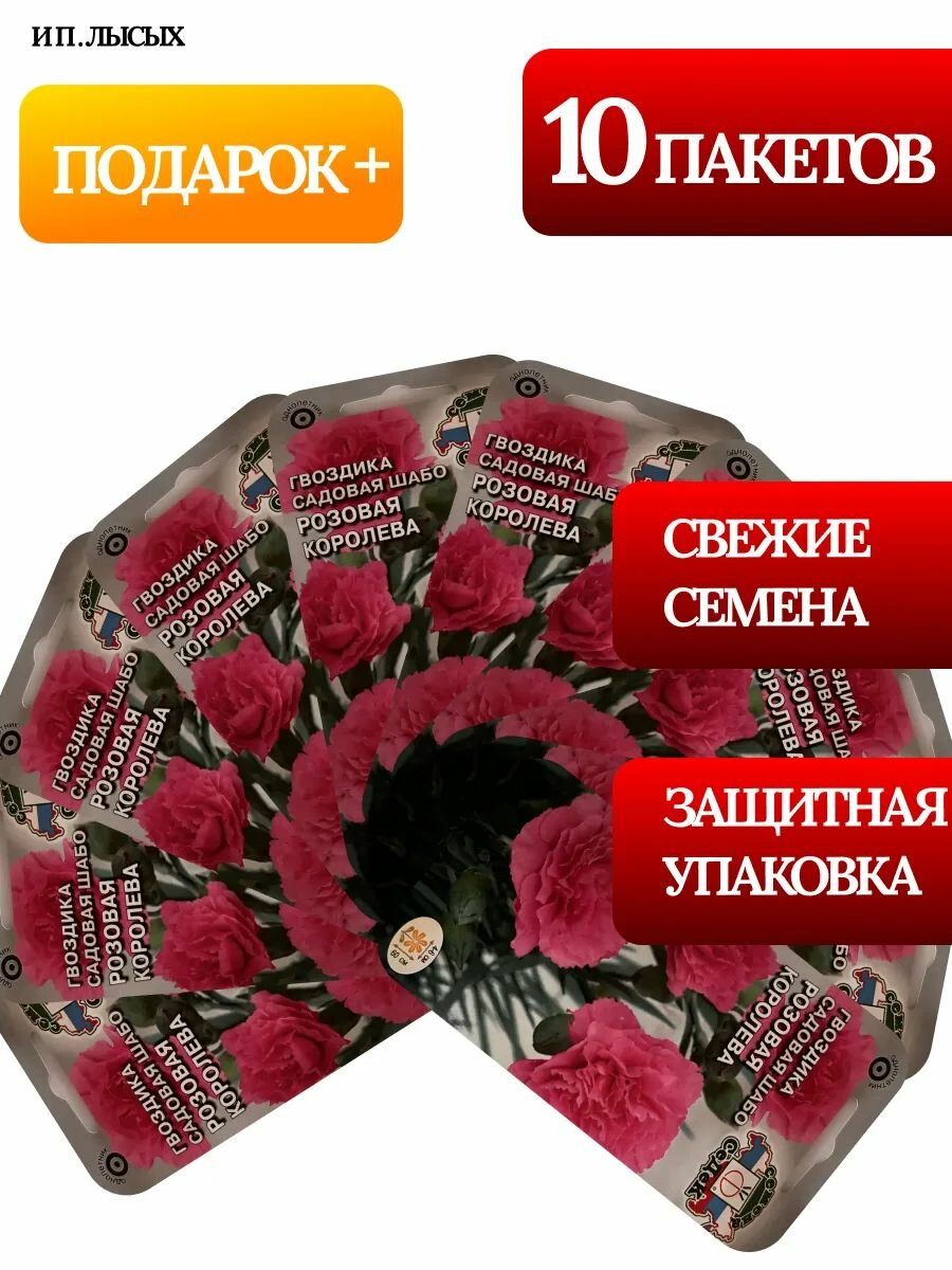 Семена Гвоздика "Розовая Королева"