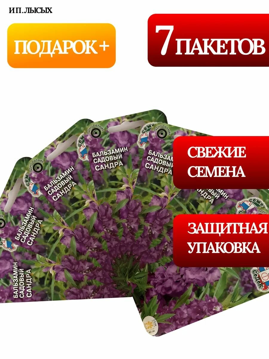 Семена Бальзамин "Сандра"