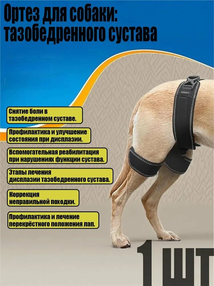 Ортез для тазобедренного сустава собаки, L,1 шт.