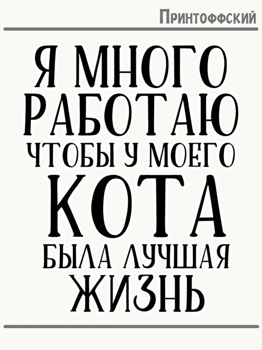 Термонаклейка для одежды и аксессуаров DTF-печать Я много работаю для кота