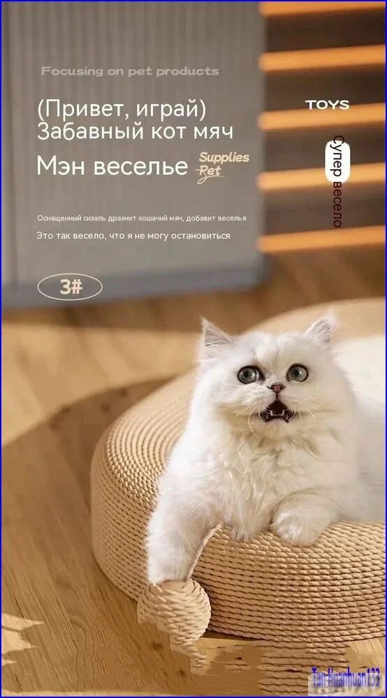 Когтеточка — фото 1