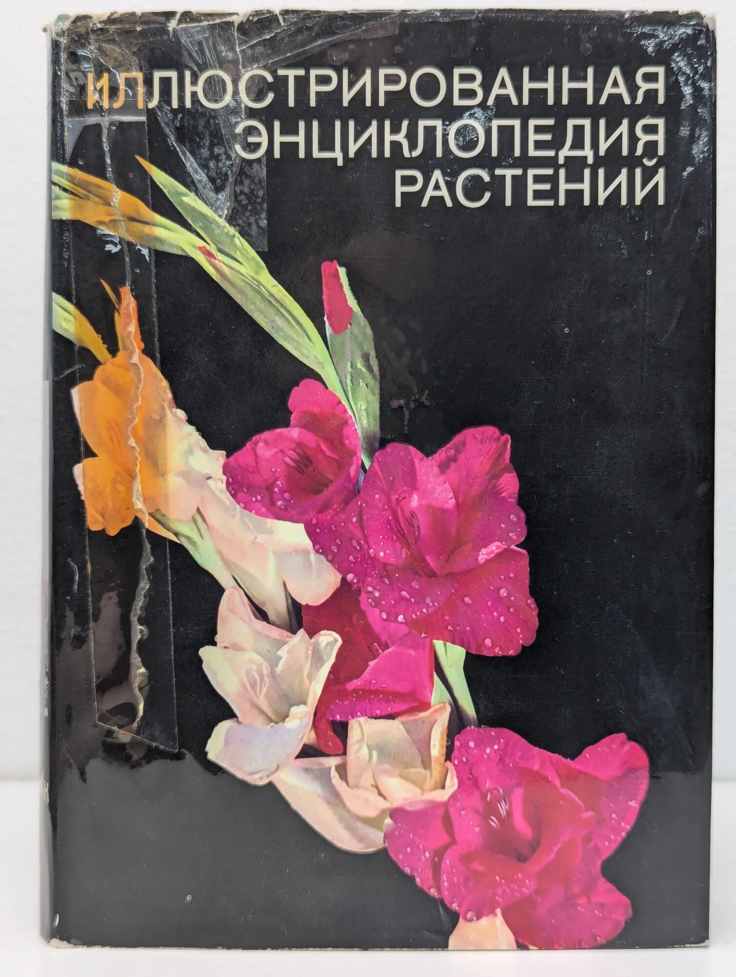 Иллюстрированная энциклопедия растений Новак Ф. А. 1976