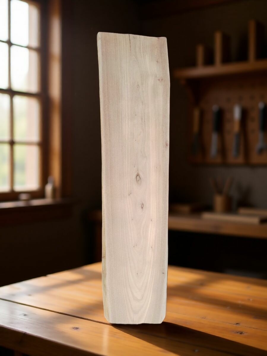 Спилы дерева Карагач. Для творчества и рукоделия.