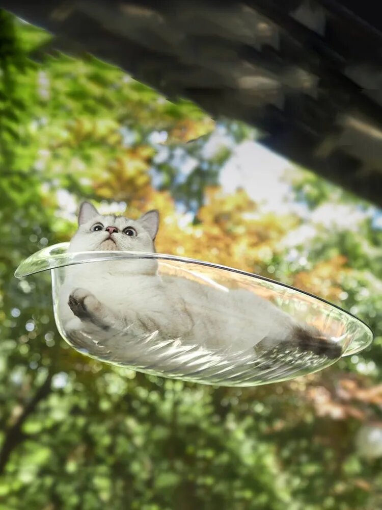Гамак Для Кошек На Окно Прозрачный гамак для кошек на окно, лежанка для кошек