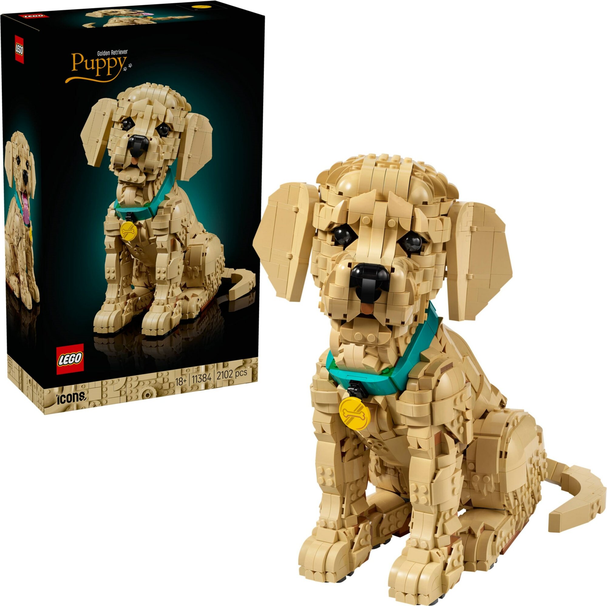 Конструктор LEGO 11384 - Лего Щенок золотистого ретривера