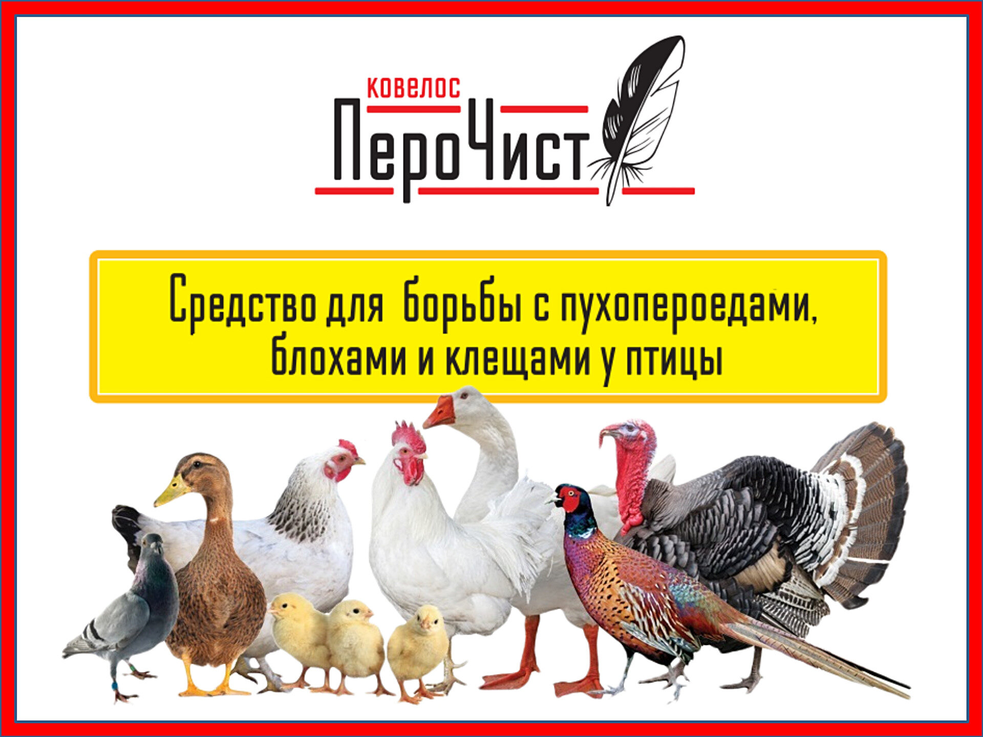 ПероЧист средство от паразитов у Птиц, против пухоедов, пероедов, блох, клещей и вшей, ведро 5000 мл.