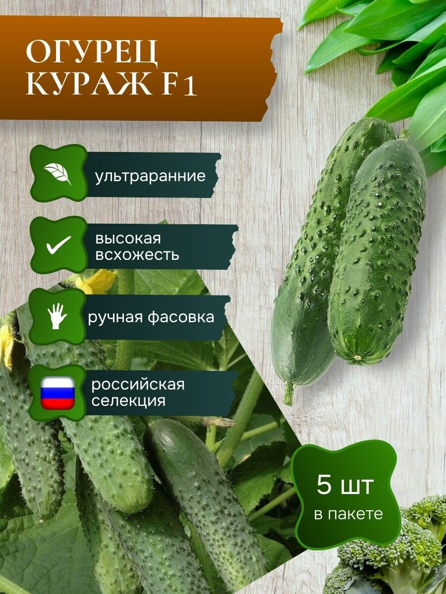 Семена огурца Кураж F1, раннеспелый, самоопыляемый, без горечи, 5шт
