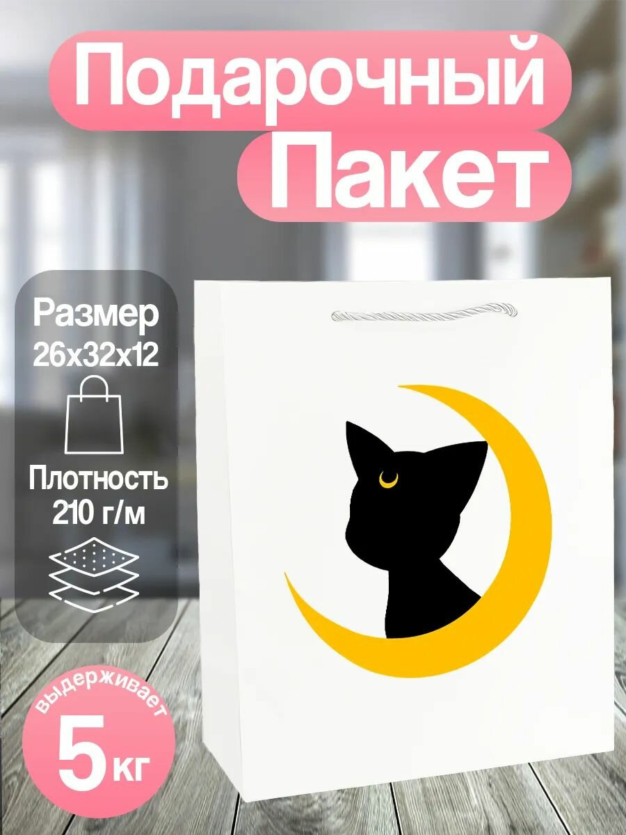 Пакет подарочный аниме Сейлор Мун, упаковка для подарка, 26х31 см