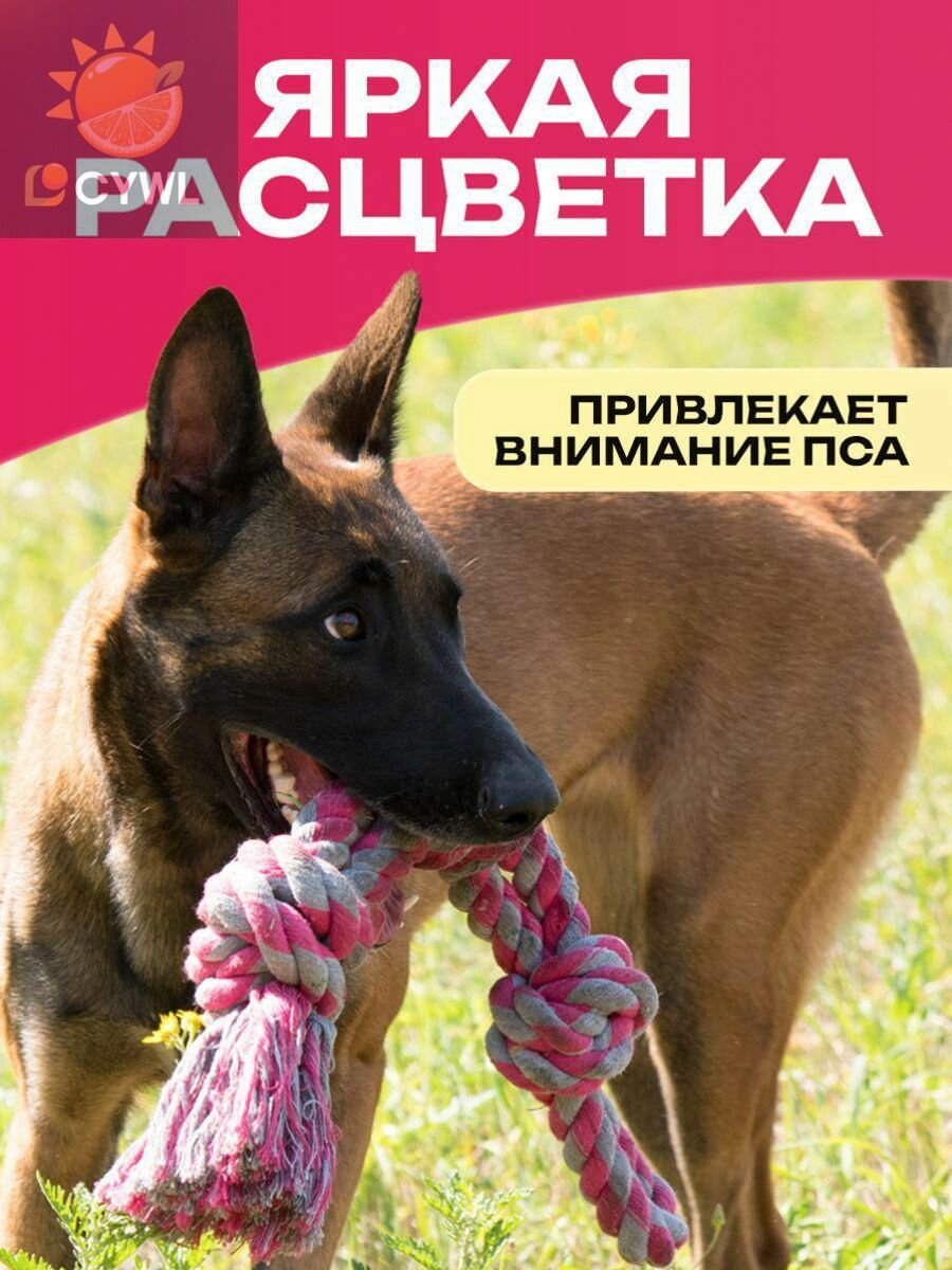 Игрушка для животных — фото 1