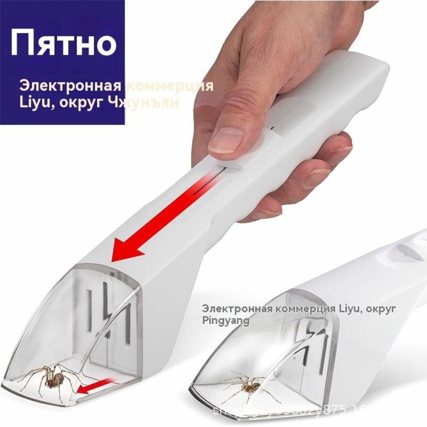Эксклюзивная энтомологическая коллекция
