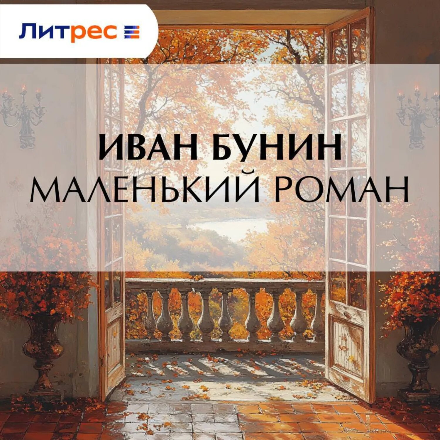 Маленький роман [Аудиокнига]