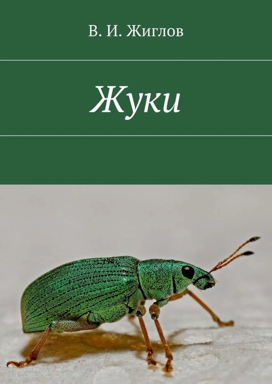 Жуки [Цифровая книга]