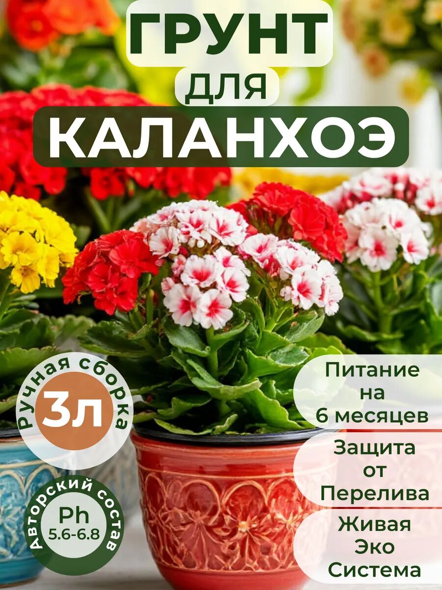 Готовый авторский грунт для Каланхоэ, премиум 3 литра