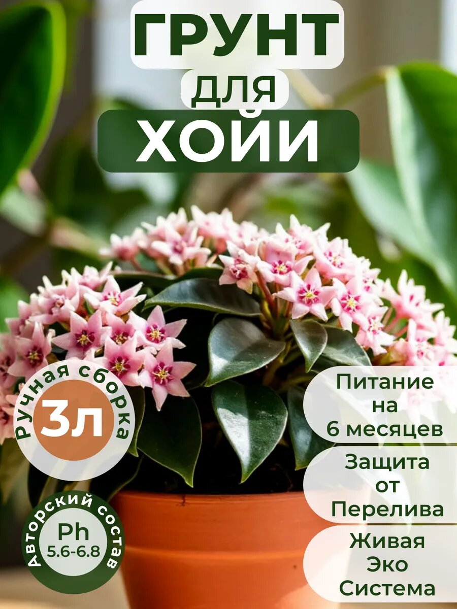 Готовый авторский грунт для Хойи, премиум 3 литра